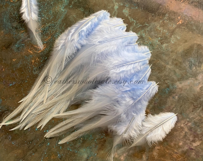 Sky Blue Rooster Craft Feathers Bulk Light Blue Feathers Solid Short ...