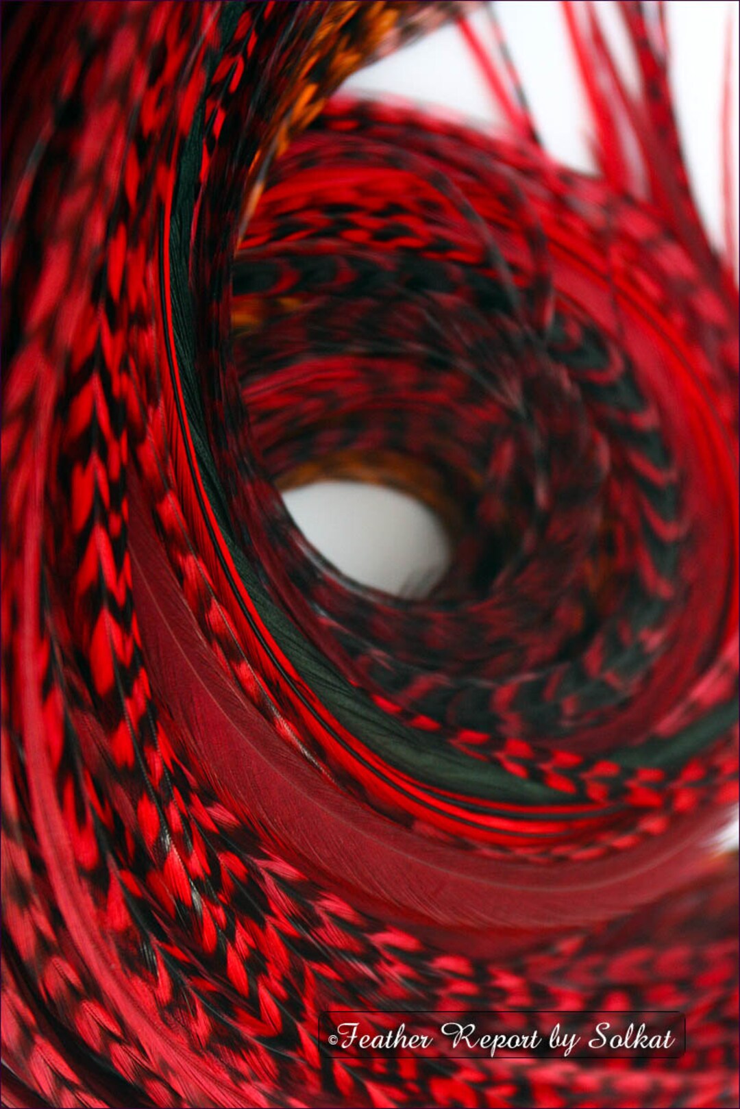 Red Hair Feathers Valentines Accessories for Hair Cherry Red Real ...