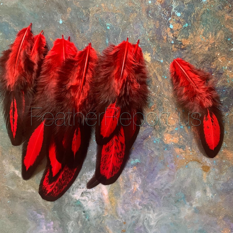 Red Feathers - Etsy