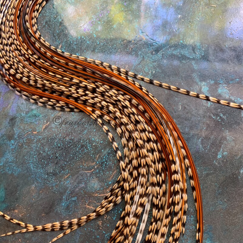 featherswholesale - Etsy