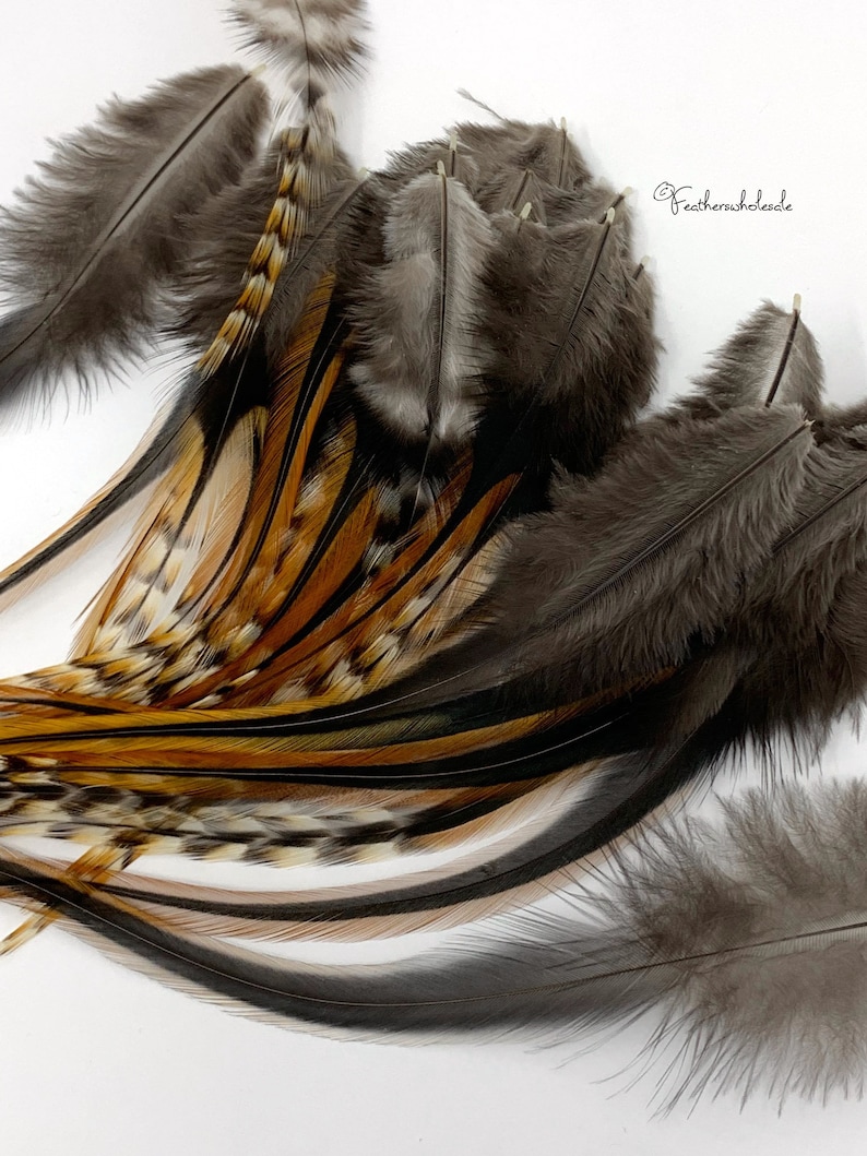 Natural Feathers Cree Craft Rooster Feathers for Crafts | Etsy