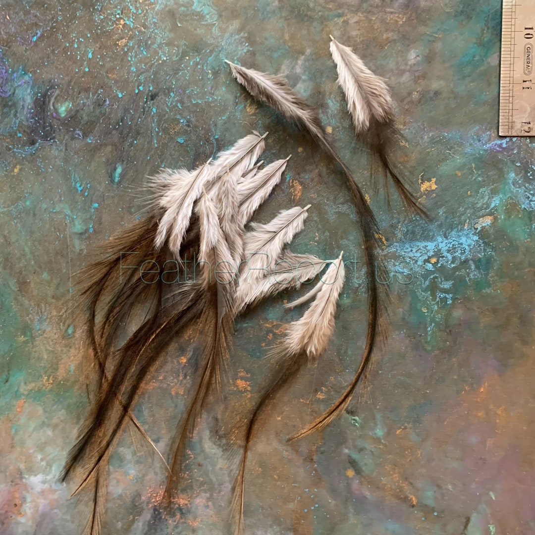 Craft Feathers Coq De Leon Rooster Saddles Natural Dun Brown Gray ...