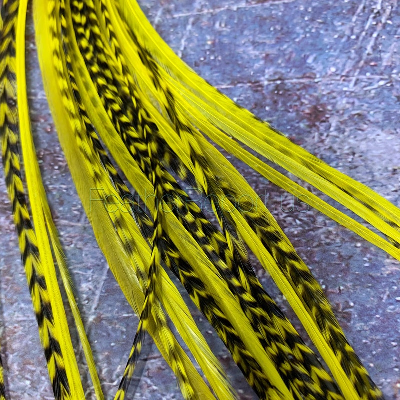 Yellow Feather - Etsy