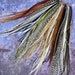 Natural Hair Feathers Extensions Bulk Wholesale Price on Fly Tying ...