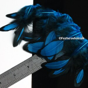 Small Blue Feathers Blue Laced Feather Crafting Plumes Blue | Etsy