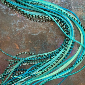 Aqua Turquoise Feather Hair Extensions 10 Long Hair Feathers Extension ...