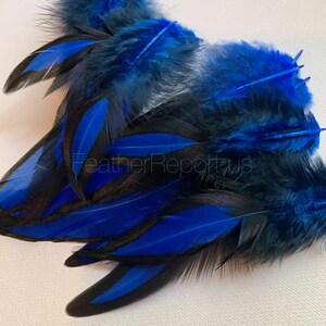 Small Blue Feathers Blue Laced Feather Crafting Plumes Blue Craft ...