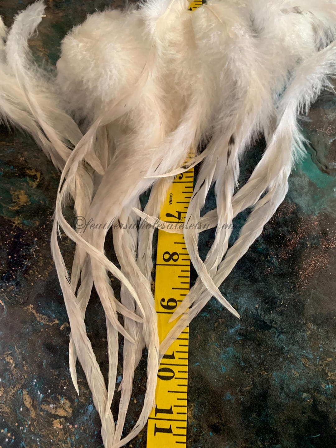 Cream White Rooster Feathers: Fluffy Craft Plumes, 5-12 Inch - Pack of ...