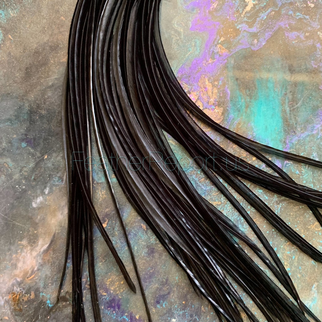 Jet Black Hair Feathers: XL Euro Hackle Extensions, Feather Earring ...