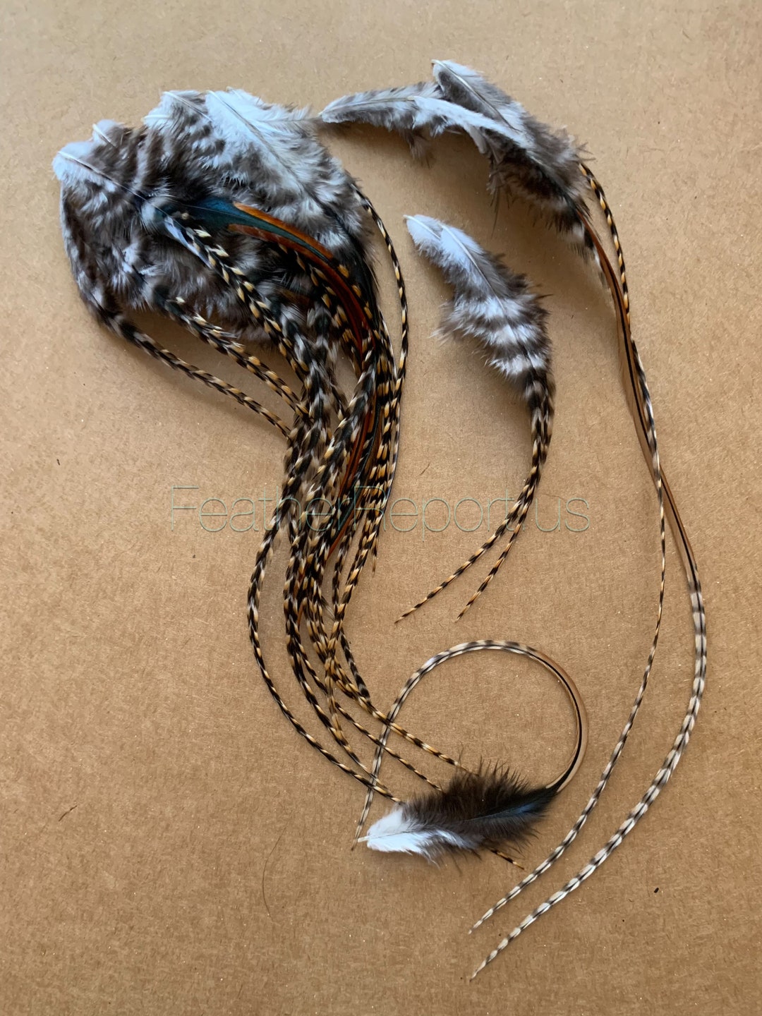 Natural Feathers Cree Craft Rooster Feathers for Crafts - Etsy