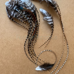 Natural Feathers Cree Craft Rooster Feathers for Crafts - Etsy