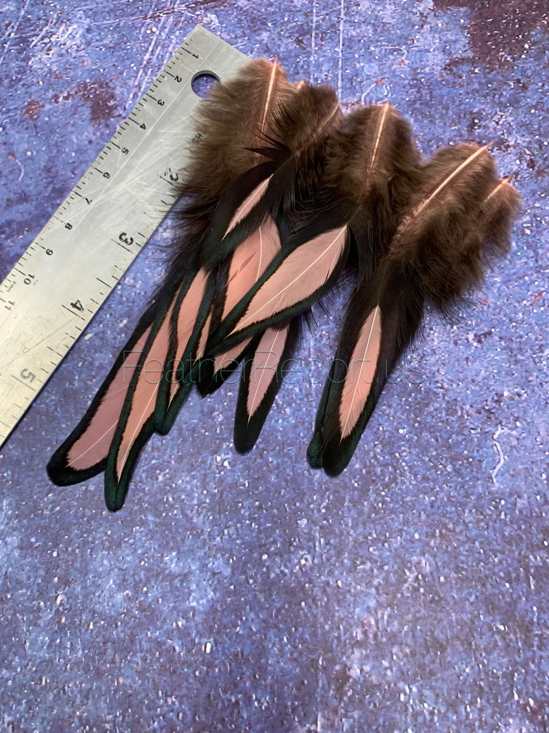 Peach Laced Craft Feathers: Fly Fishing, Earring Making - 12pcs - Etsy