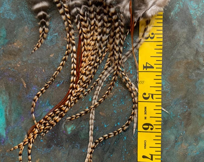 Natural Feathers Cree Craft Rooster Feathers for Crafts Fishing Dream ...