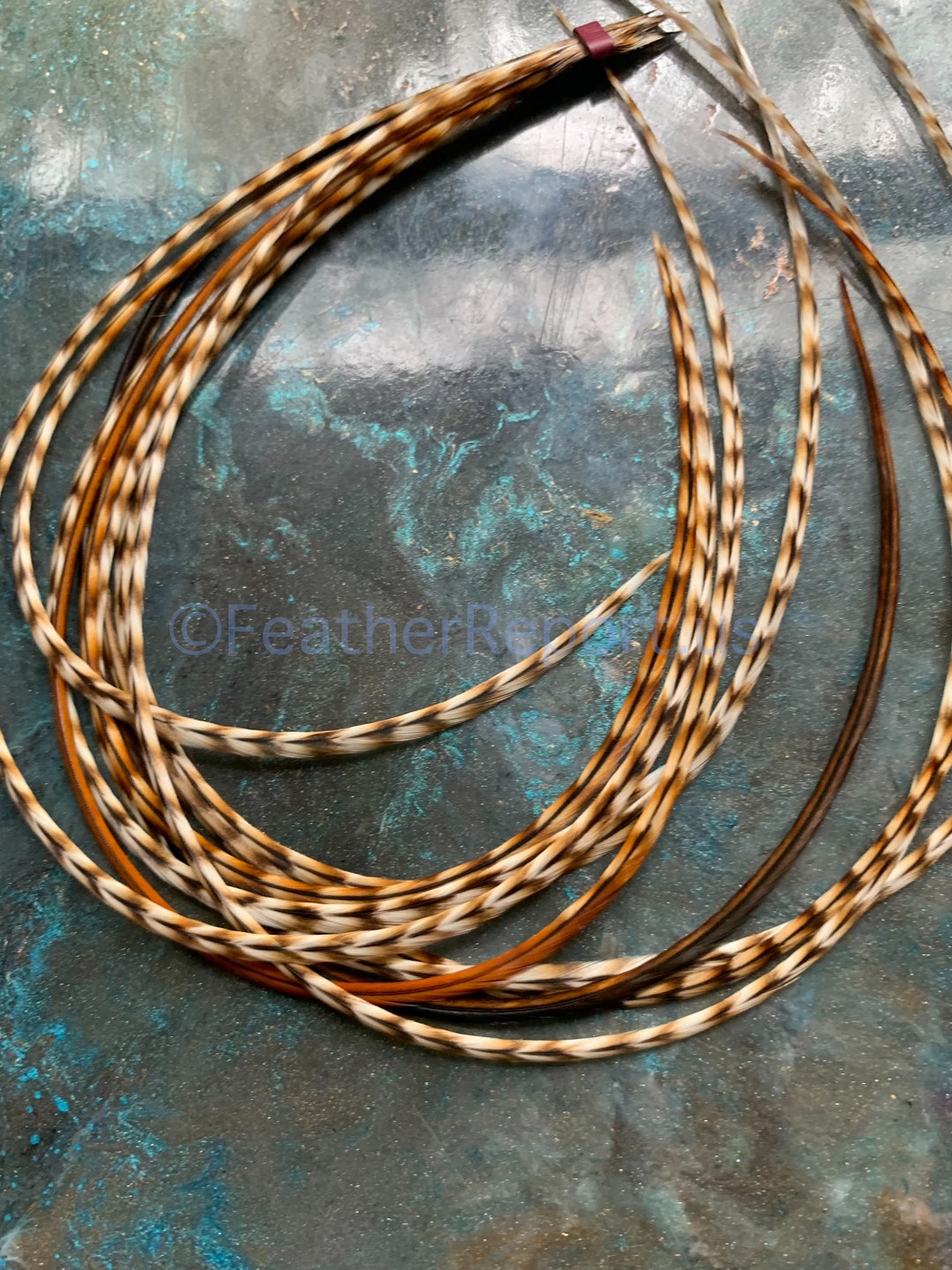 Barred Ginger Feathers Long Natural Hair Feathers Gold Grade Rooster ...