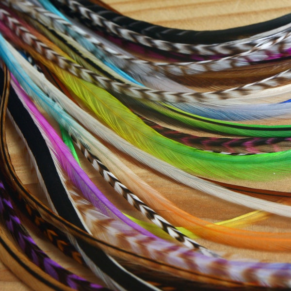 Rooster Feather - Etsy