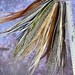 Natural Hair Feathers Extensions Bulk Wholesale Price on Fly Tying ...