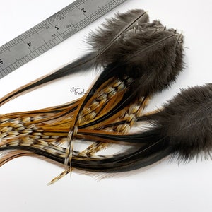 Natural Feathers Cree Craft Rooster Feathers for Crafts | Etsy