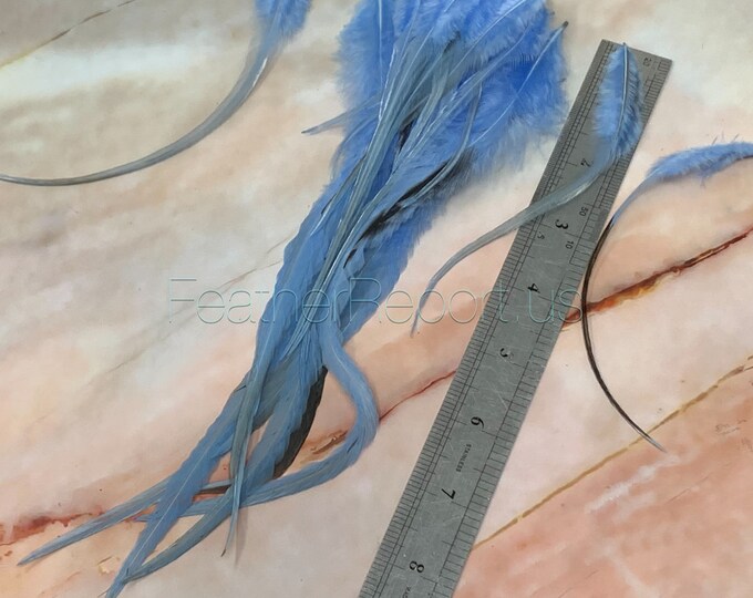 Sky Blue Craft Feathers Blue Rooster Feathers for Crafts Pastel Blue ...