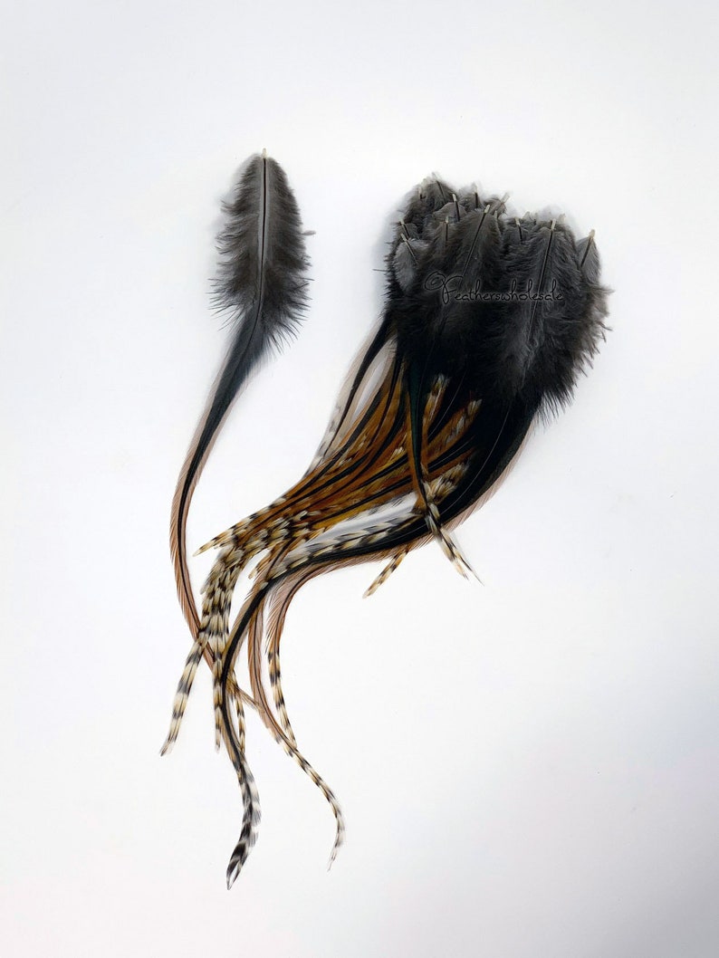 Natural Feathers Cree Craft Rooster Feathers for Crafts | Etsy