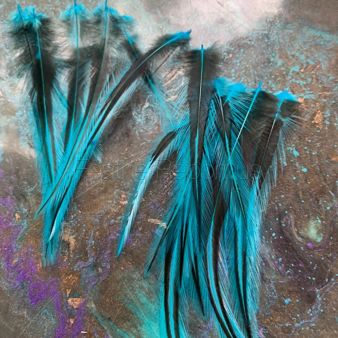 Blue Craft Feathers BLW Small Turquoise Feathers for Crafts Micro Craft ...