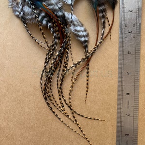 Natural Feathers Cree Craft Rooster Feathers for Crafts - Etsy