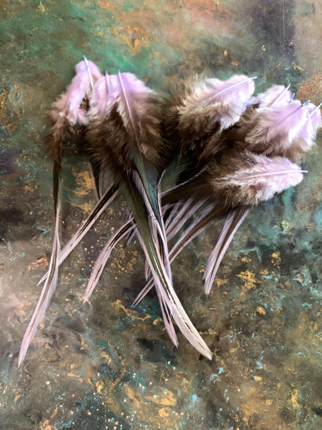 Laced Rooster Feathers Dyed Pastel Purple - 12 per Pack - Etsy