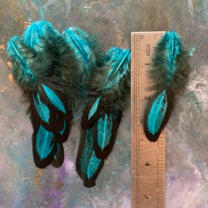 Turquoise Blue Craft Feathers Laced Hen Saddle Small Feathers for ...