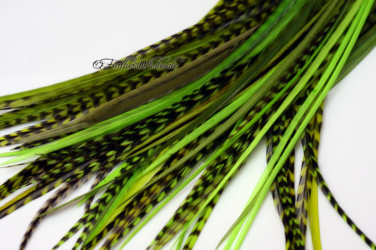 Green Hair Feathers Long Feather Hair Extensions DIY Kit With | Etsy