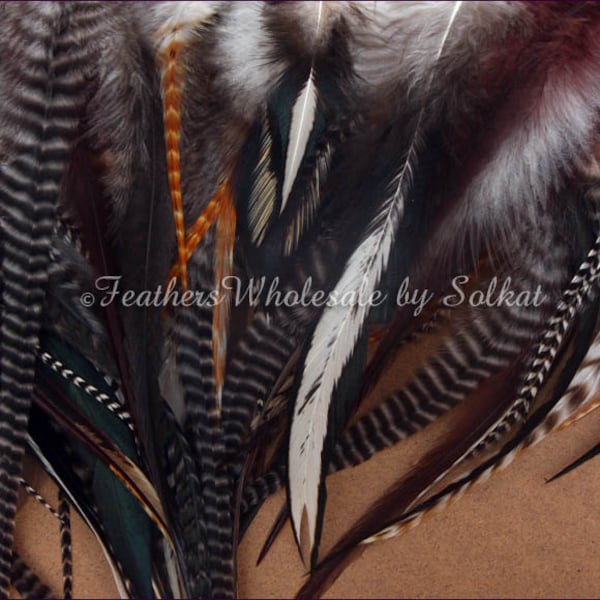 Real Feathers - Etsy
