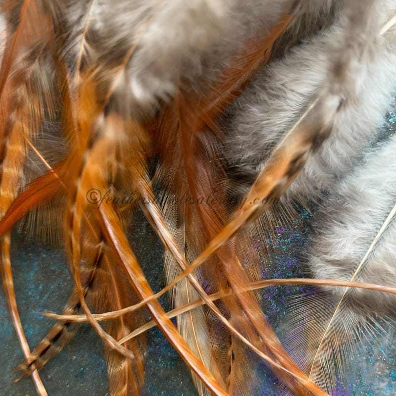 Brown Feathers - Etsy