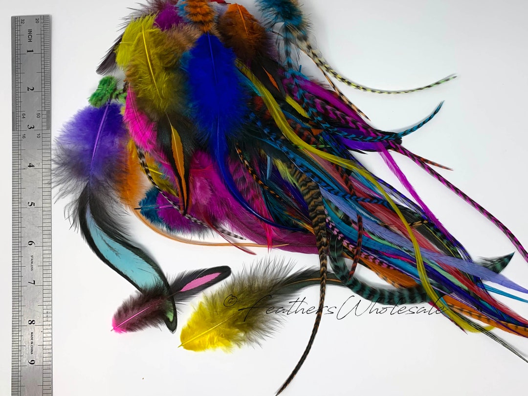 Bulk Craft Feathers, Mixed Rooster Feathers Assorted Colors and Sizes ...