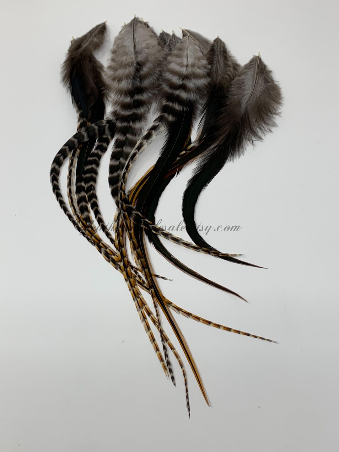 12 Long Rooster Feathers Cree Natural Craft and Earring Feathers 8 to ...