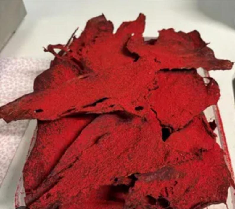 Fayate Blue Takis Fuego Beef Jerky - Etsy