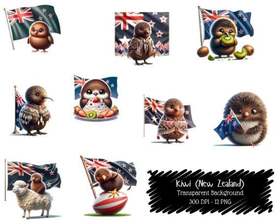 Kiwi Bird Clipart Bundle: New Zealand Animal PNG Graphics (digital ...