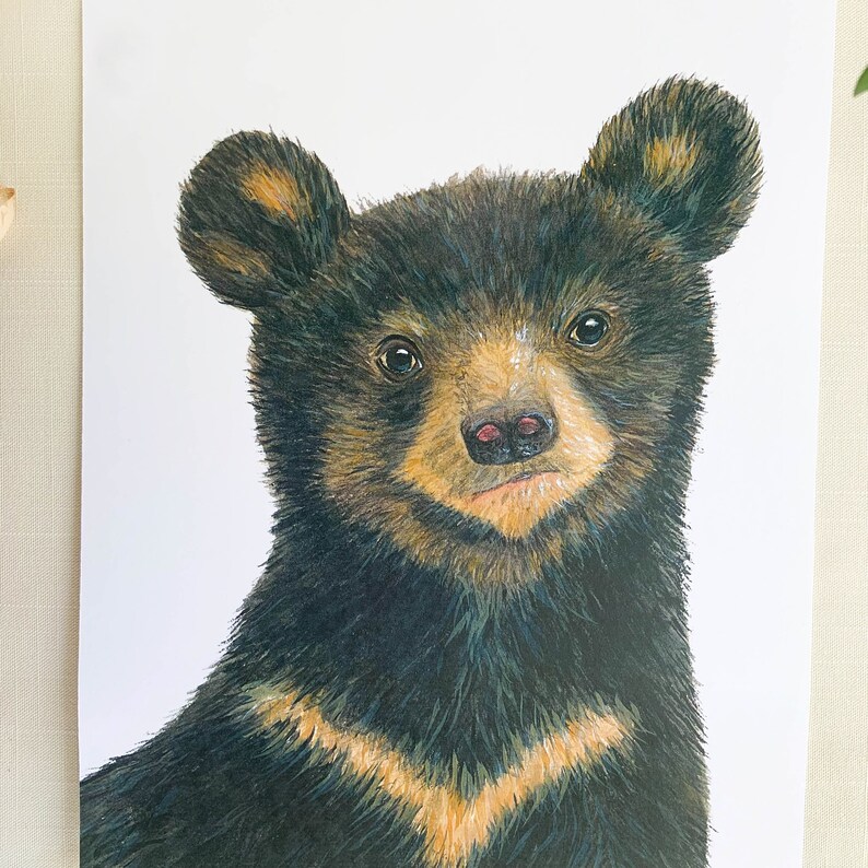 Baby Black Bear Watercolor Art Print. Large Woodland Animals - Etsy