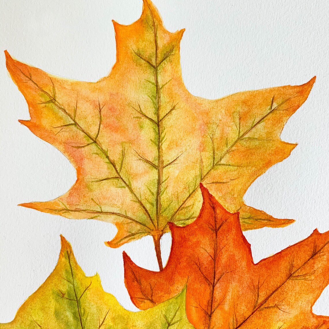 Autumn Leaves Original Watercolor Painting. 9 X 12. 2. - Etsy