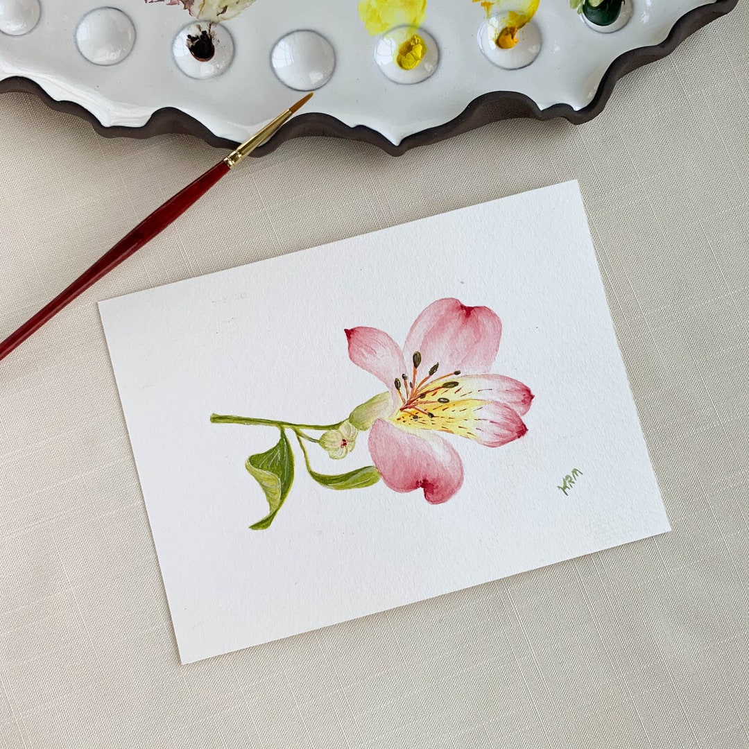 Alstroemeria Flower Original Watercolor Painting. 7 X 5. Unframed. - Etsy