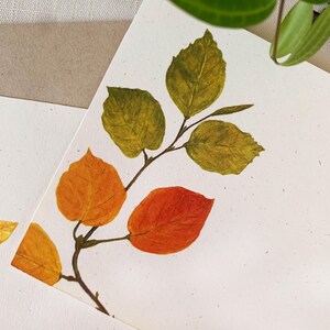Autumn Leaves Notecards. Eco Friendly Watercolor Stationery Set. Flat ...