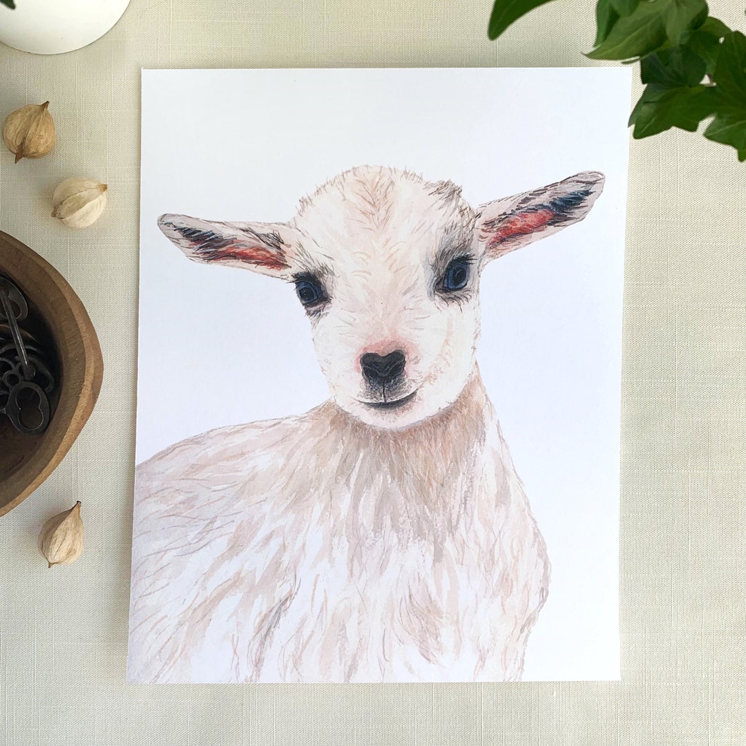 Baby White Goat Watercolor Art Print. Farm Animal Nursery Collection. 8 ...