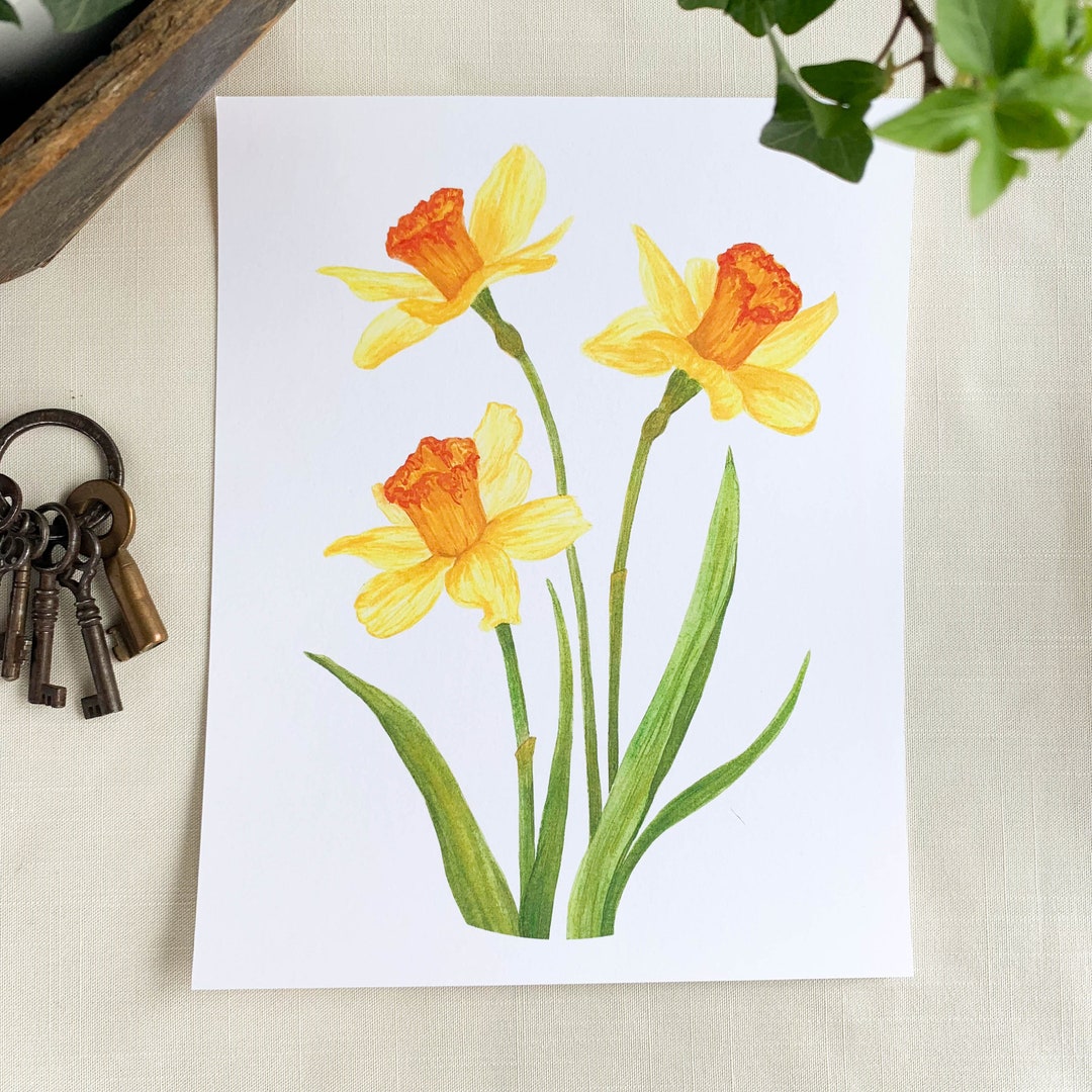 Spring Daffodils Watercolor Fine Art Print. Botanical Unframed 8x10 ...