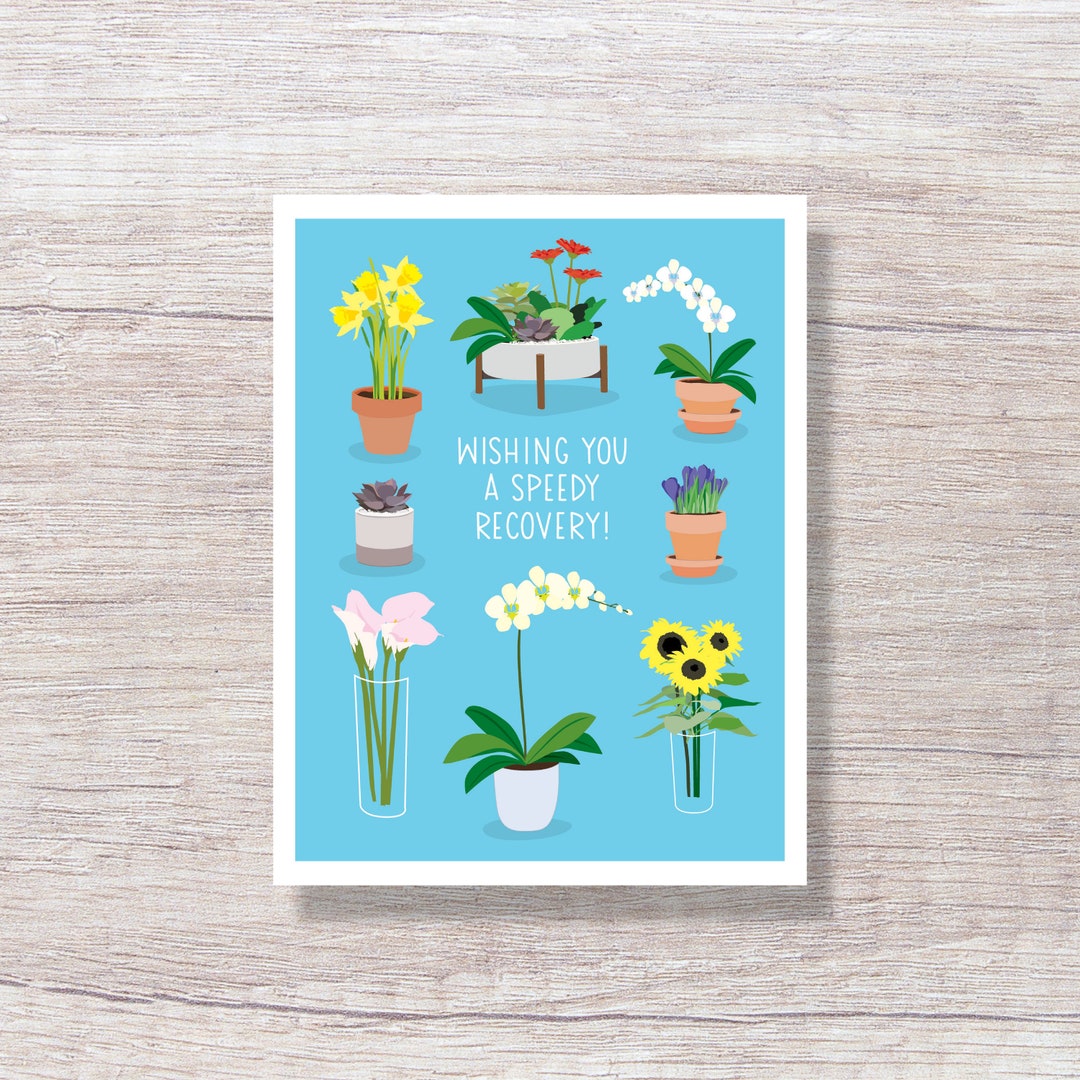 POTTED FLOWERS Speedy Recovery, General Get Well Card - D344 - Etsy