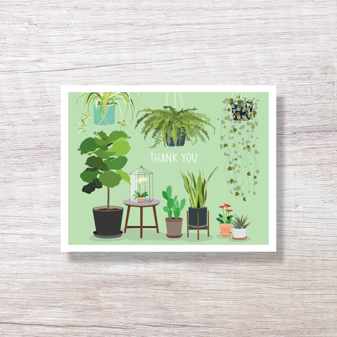 Potted Houseplants Thank You Note Card - Single Card or Boxed Set, Hand ...