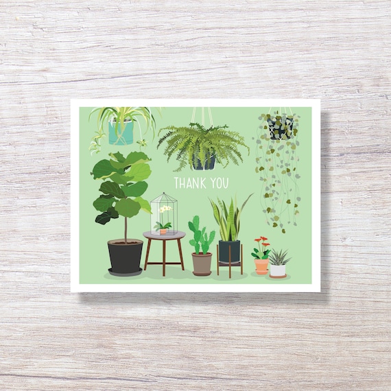 Potted Houseplants Thank You Note Card Single Card or Boxed | Etsy