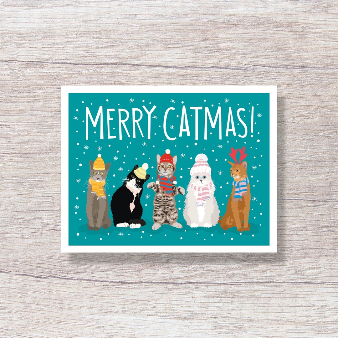 Merry Catmas Christmas Cats - Single Card or Boxed Set Christmas Cards ...