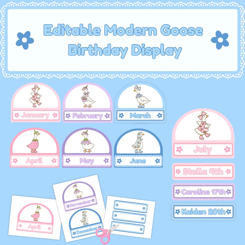 Silly Goose Classroom Birthday Display | Editable Canva Template ...