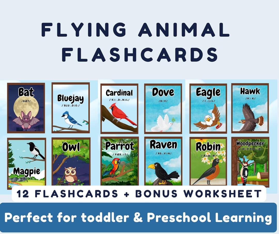 Animal Flashcards for Kids - Flying Edition, 12 Printable Cards, Early ...