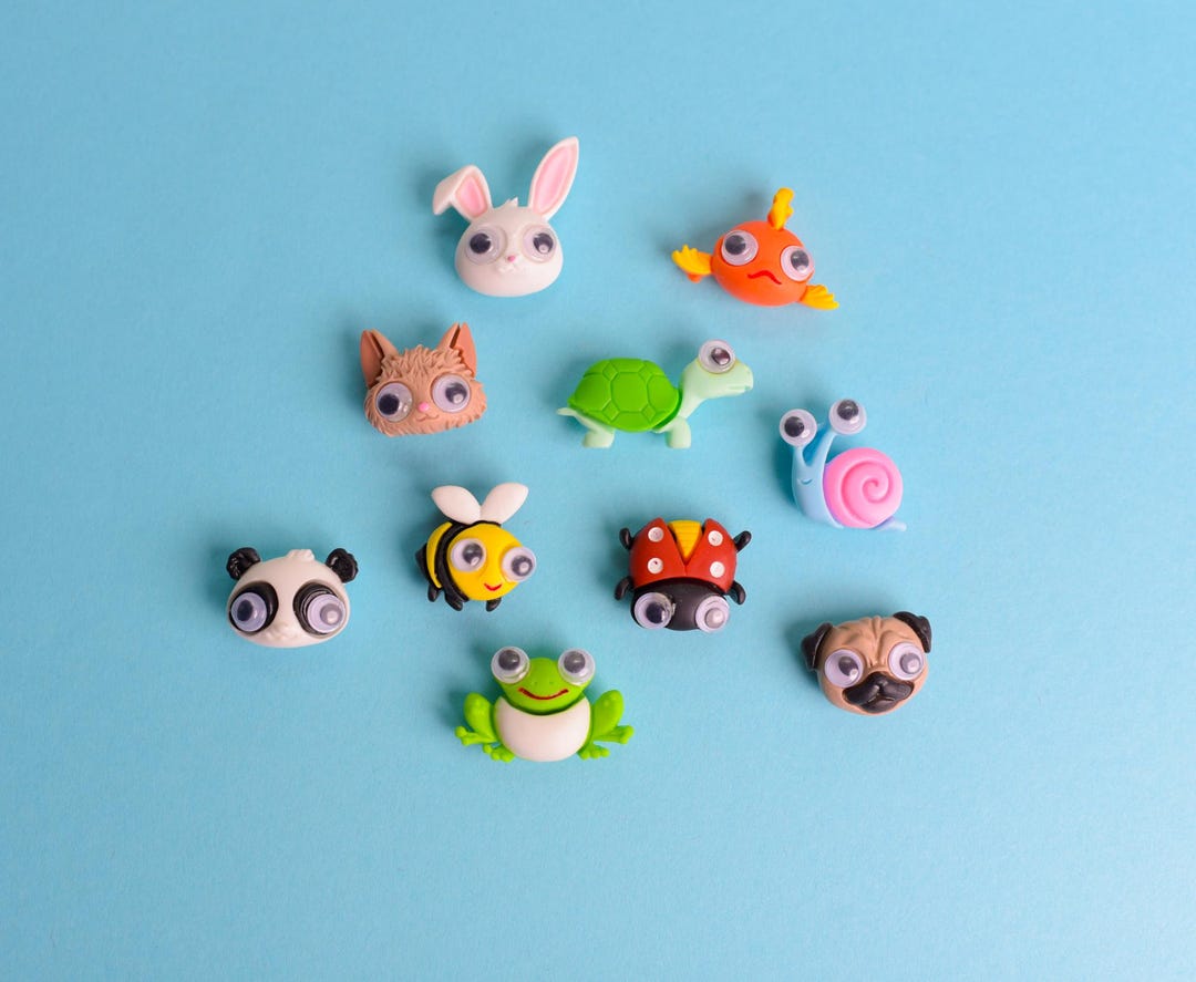 Resin Assorted Googly Eye Animal Little Neodymium Magnet Set - Etsy