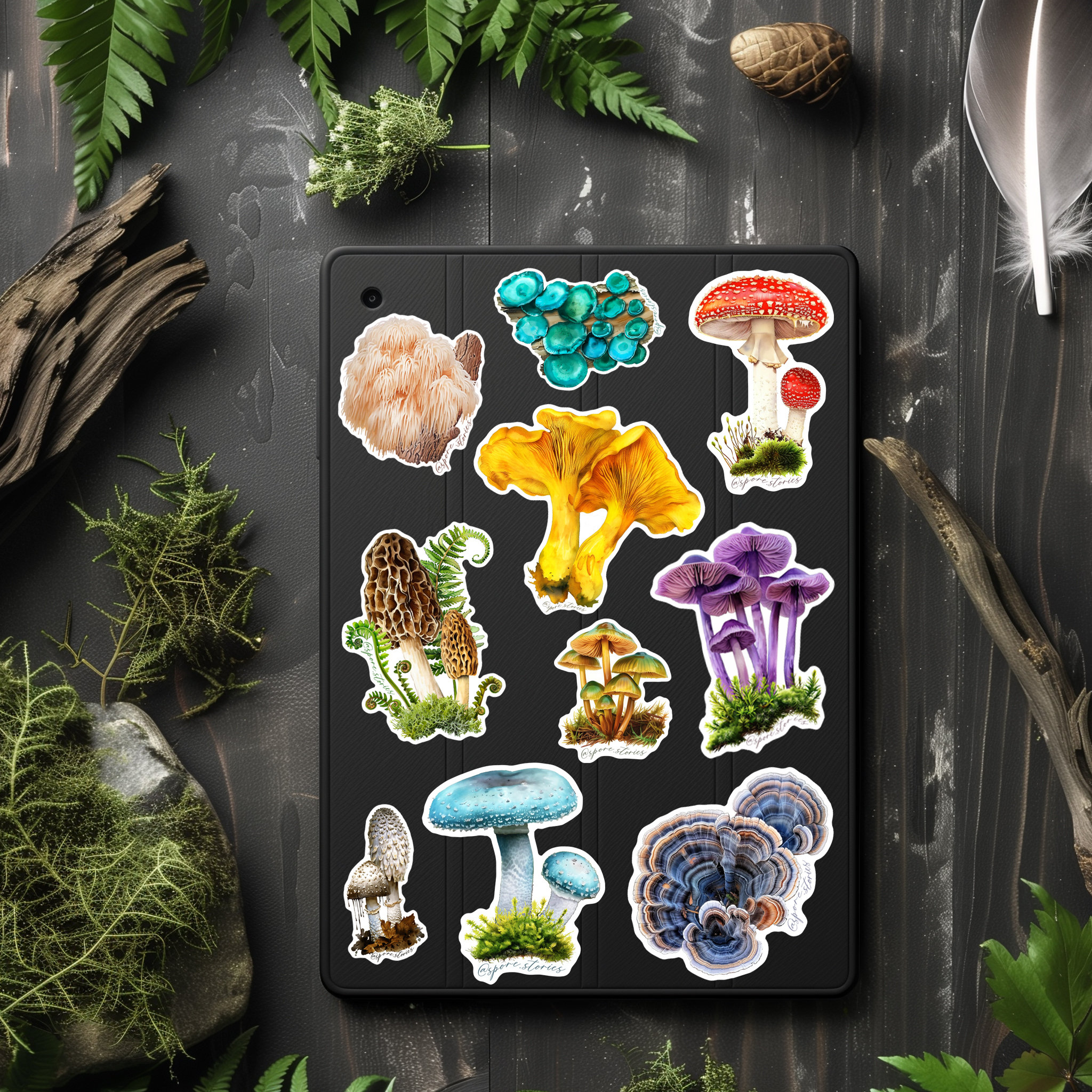 Morel Mushroom Sticker by Spore Stories, Nature Lover, Forager Chef ...