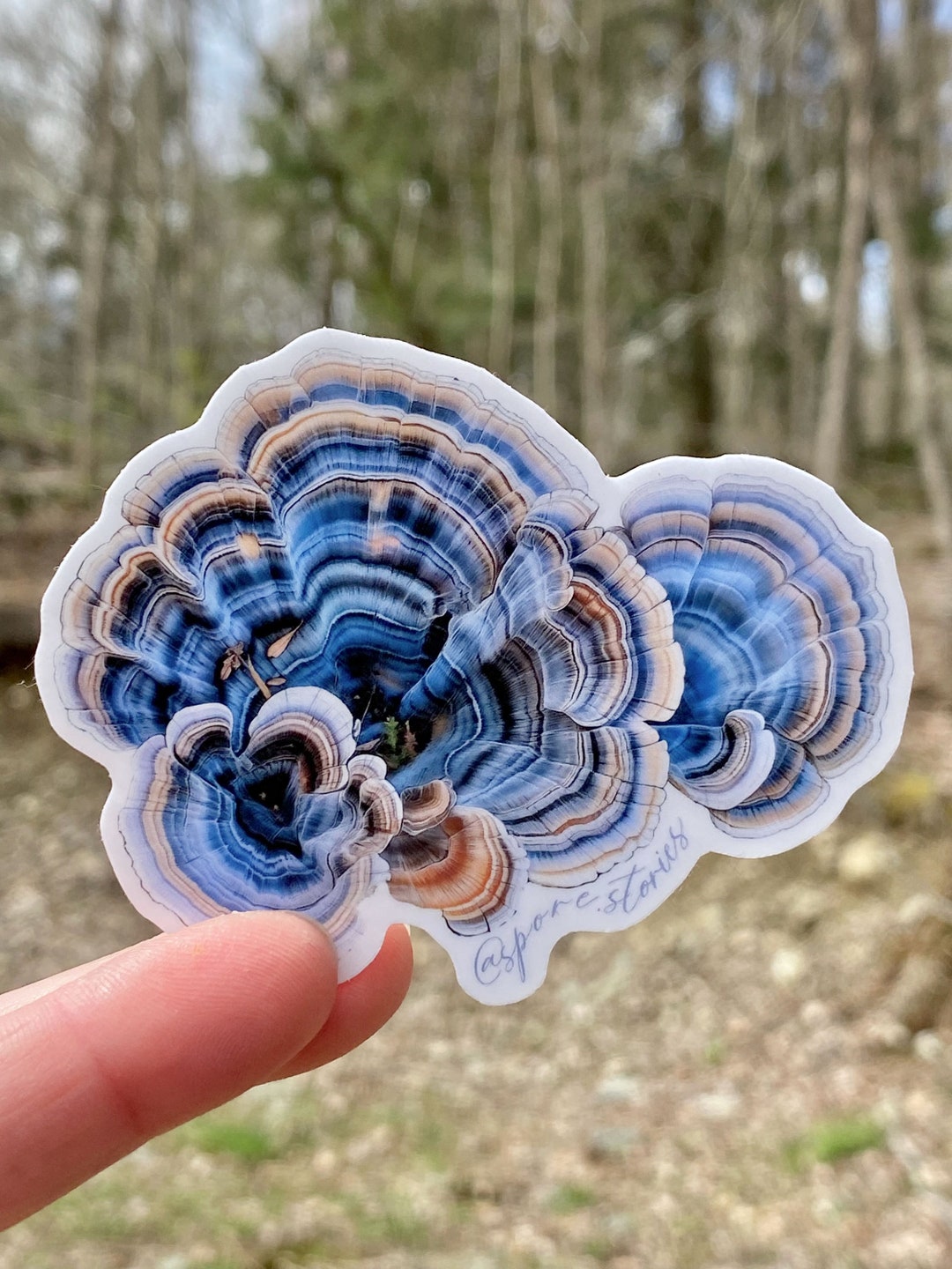 Blue Turkey Tail Mushroom Sticker by Spore Stories, Gift for Hiker ...