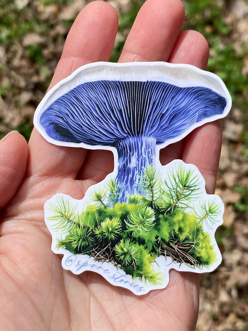 Mushroom Sticker Indigo Milk Cap by Spore Stories, Nature Lover Gift ...